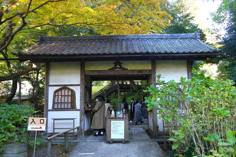 明月院の紅葉と見頃・本堂後庭園の紅葉も紹介 | 鎌倉の寺院と札所巡り by鎌倉PRESS