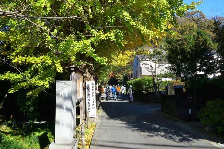 明月院の紅葉と見頃・本堂後庭園の紅葉も紹介 | 鎌倉の寺院と札所巡り by鎌倉PRESS