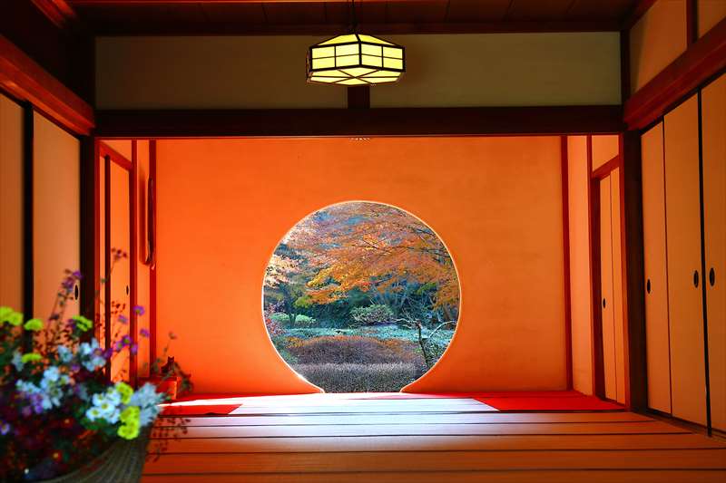 明月院の紅葉と見頃・本堂後庭園の紅葉も紹介 | 鎌倉の寺院と札所巡り by鎌倉PRESS