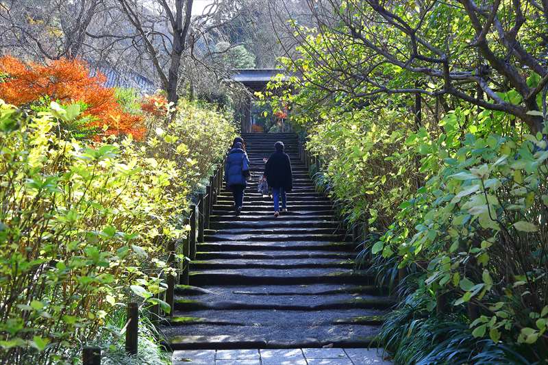 明月院の紅葉と見頃・本堂後庭園の紅葉も紹介 | 鎌倉の寺院と札所巡り by鎌倉PRESS