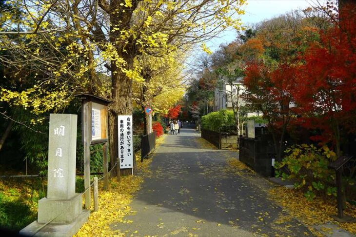 明月院の紅葉と見頃・本堂後庭園の紅葉も紹介 | 鎌倉の寺院と札所巡り by鎌倉PRESS